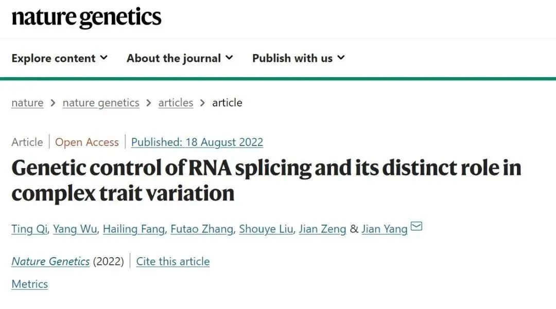  RNA 